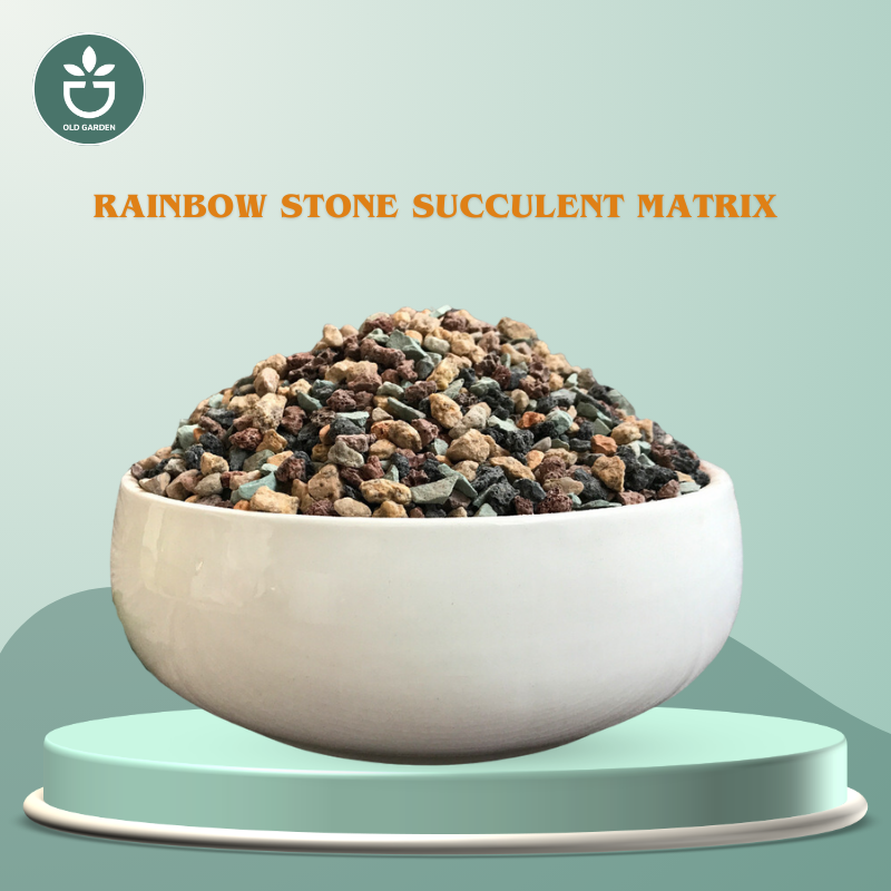 Rainbow Stone Succulent Matrix – Old Garden Shop