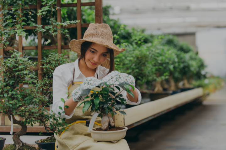 Old Garden Shop