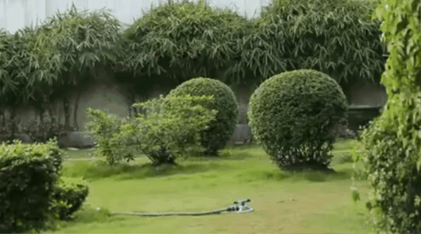 Sprinkler Nozzle 360 Degree Automatic – Old Garden Shop